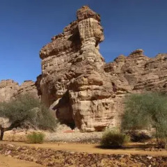 Shaden Resort & Hotels in Al Ula, Saudi Arabia from 829$, photos ...