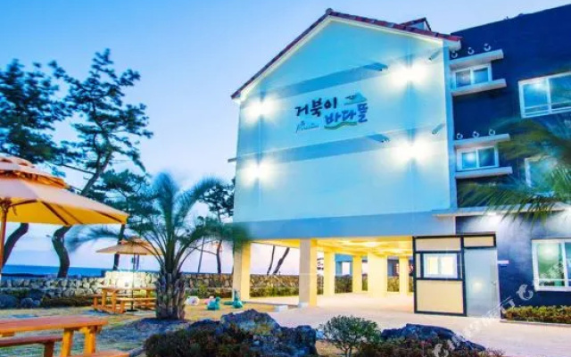 Jeju Turtle Pension in Seogwipo, South Korea from 83$, photos, reviews ...