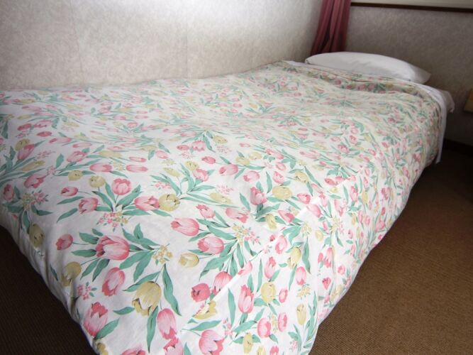 Pension Peppermint House - 茅野市