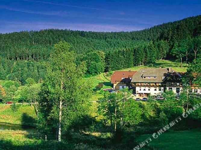 Отель Waldhotel Fehrenbach (Хинтерцартен, Германия), цены ...
