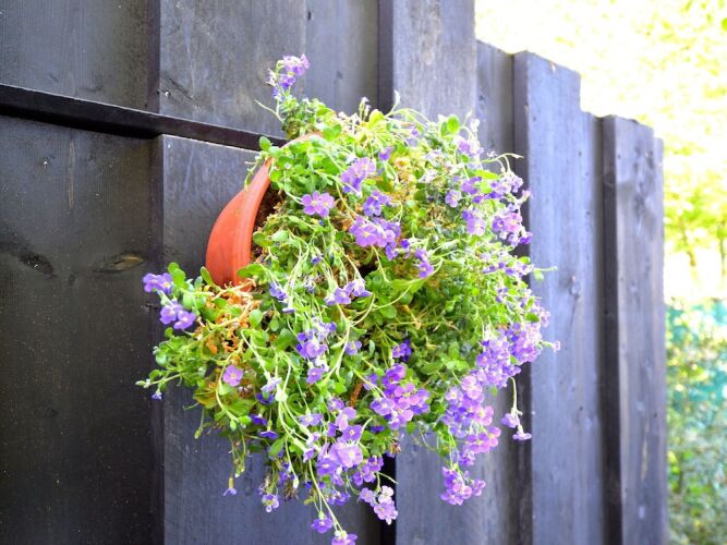 Cozy Holiday Home In Volkel With Sauna - Uden